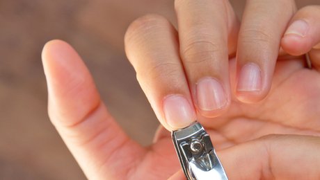 Qu’est ce qu’un panari ? – panari.fr