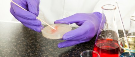 Panari : Les traitements – panari.fr panari.fr